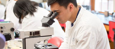 Medical Laboratory Science Program | Carver College of Medicine | The ...